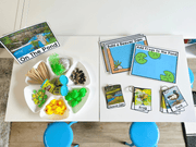 Pond Life Pre-K Center Ideas – Preschool Packets