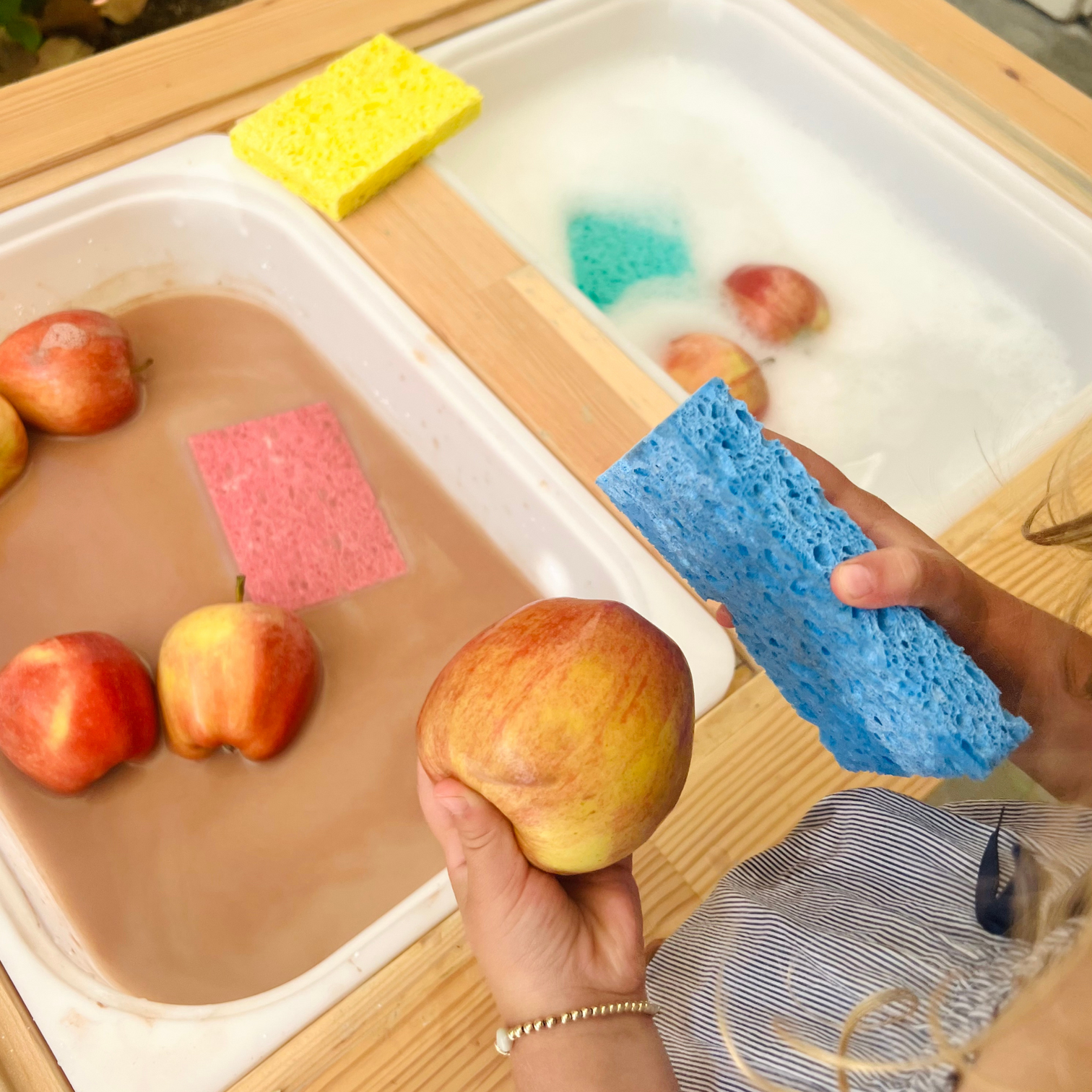 5 Sensory Bins Ideas for Fall With an Apple Theme for Your Preschool C ...