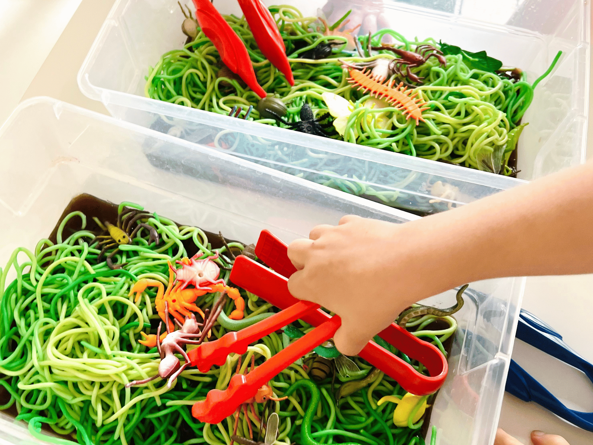 Catch-A-Bug Sensory Bin – Preschool Packets