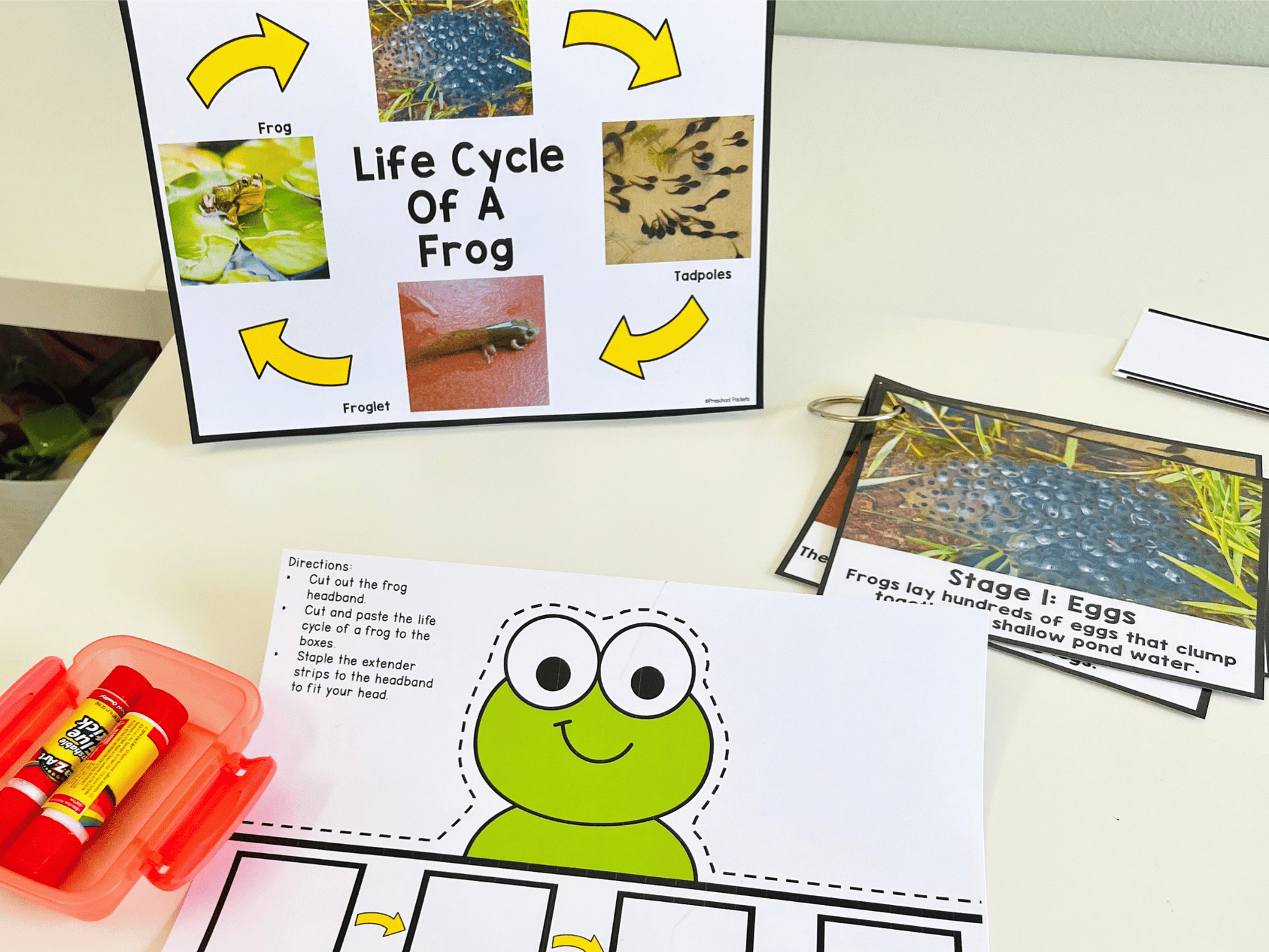 Frog and Butterfly Life Cycle Headband – Preschool Packets