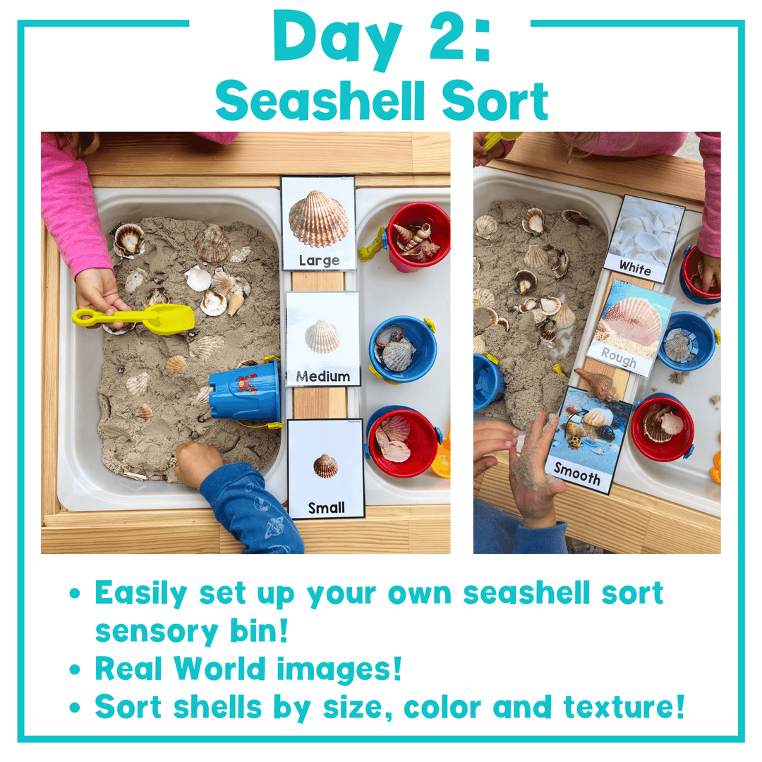 Beach Activities Preschool Weekly Themed Curriculum – Preschool Packets