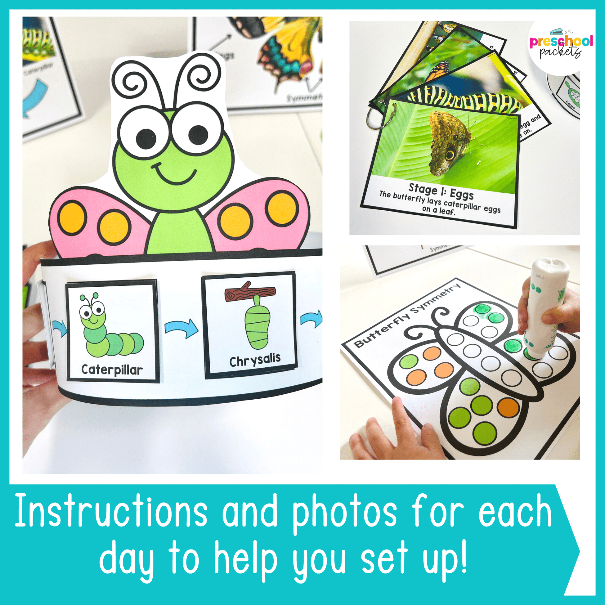 Bugs and Insects Activities Preschool Weekly Themed Curriculum ...