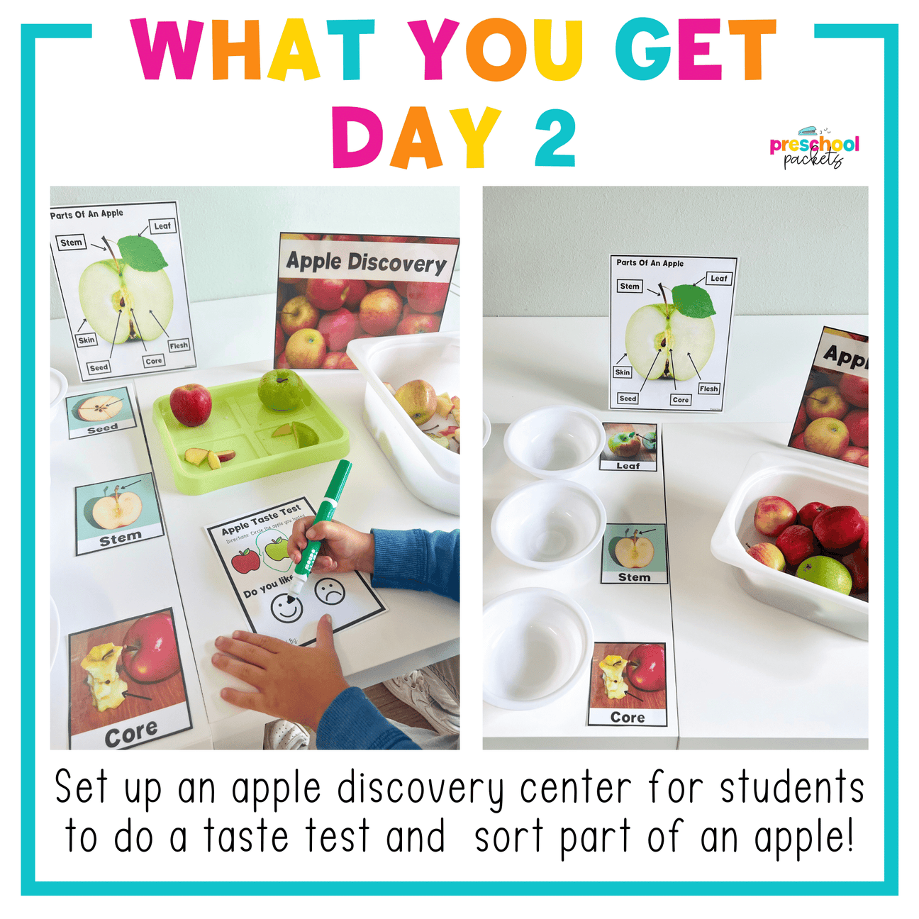 Apple Theme Activities Preschool Weekly Curriculum – Preschool Packets