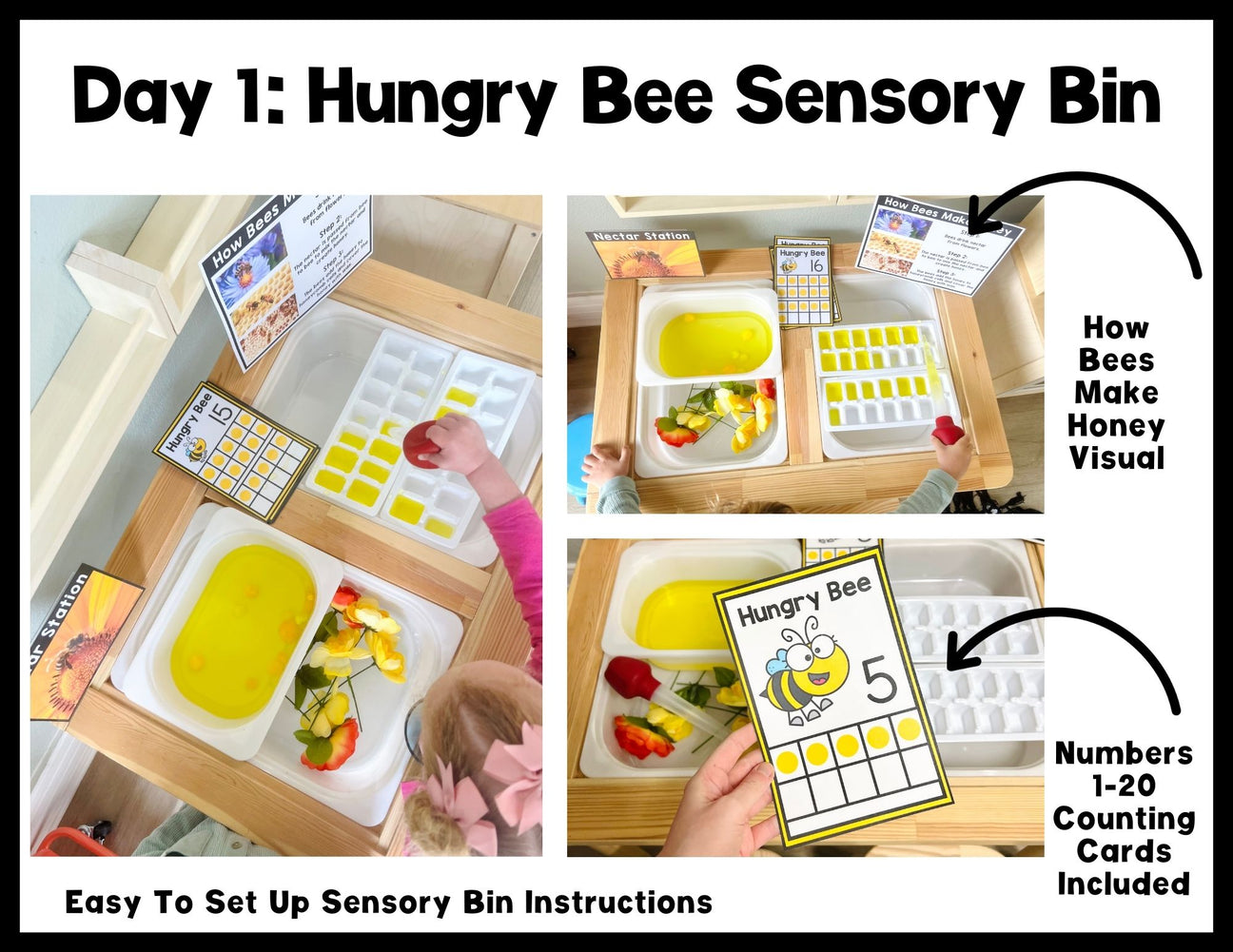 Bugs and Insects Activities Preschool Weekly Themed Curriculum ...