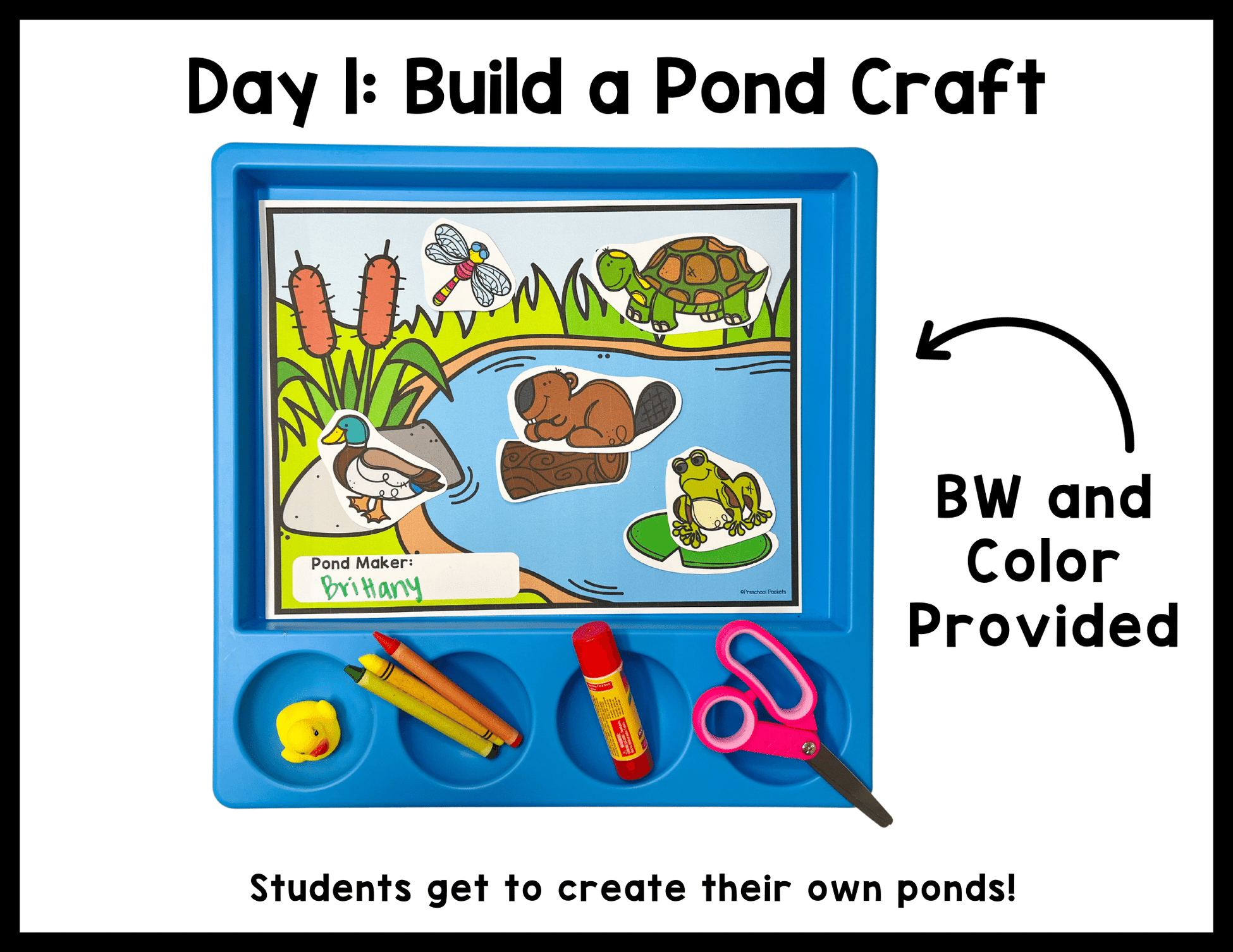 Pond Activities Preschool Weekly Themed Curriculum – Preschool Packets
