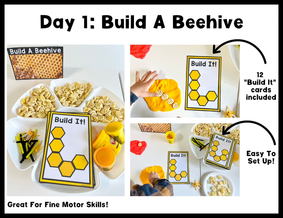 Bugs and Insects Activities Preschool Weekly Themed Curriculum ...